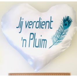 Knuffel kussen Pluim